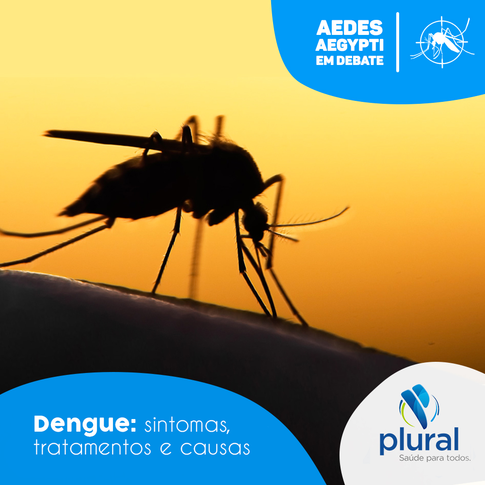 Causas Da Dengue
